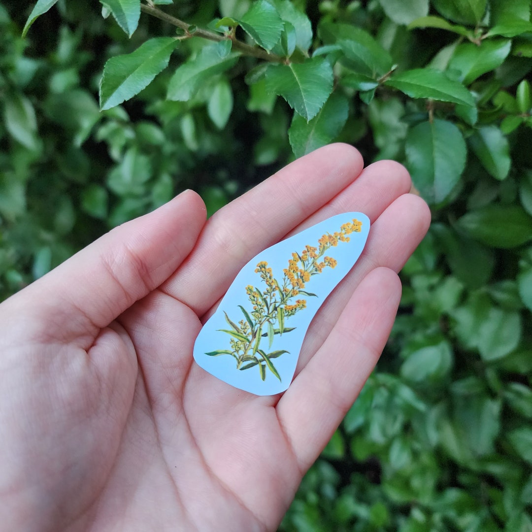 Goldenrod Grimoire Sticker - Hand Cut - Etsy