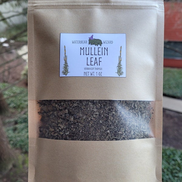 Mullein Plant - Etsy