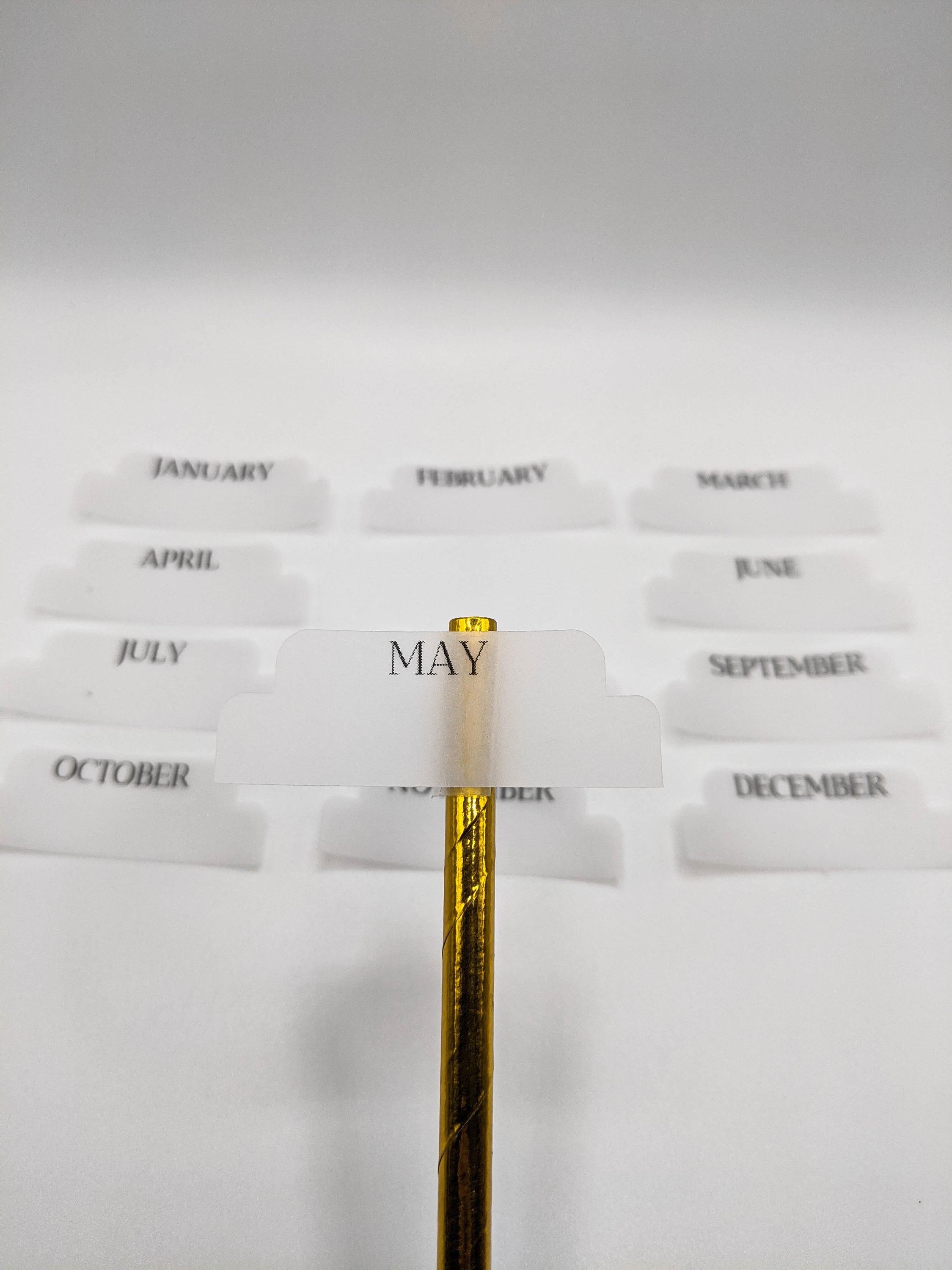 Vellum Monthly Tabs Minimal Monthly Tab Stickers Planner - Etsy