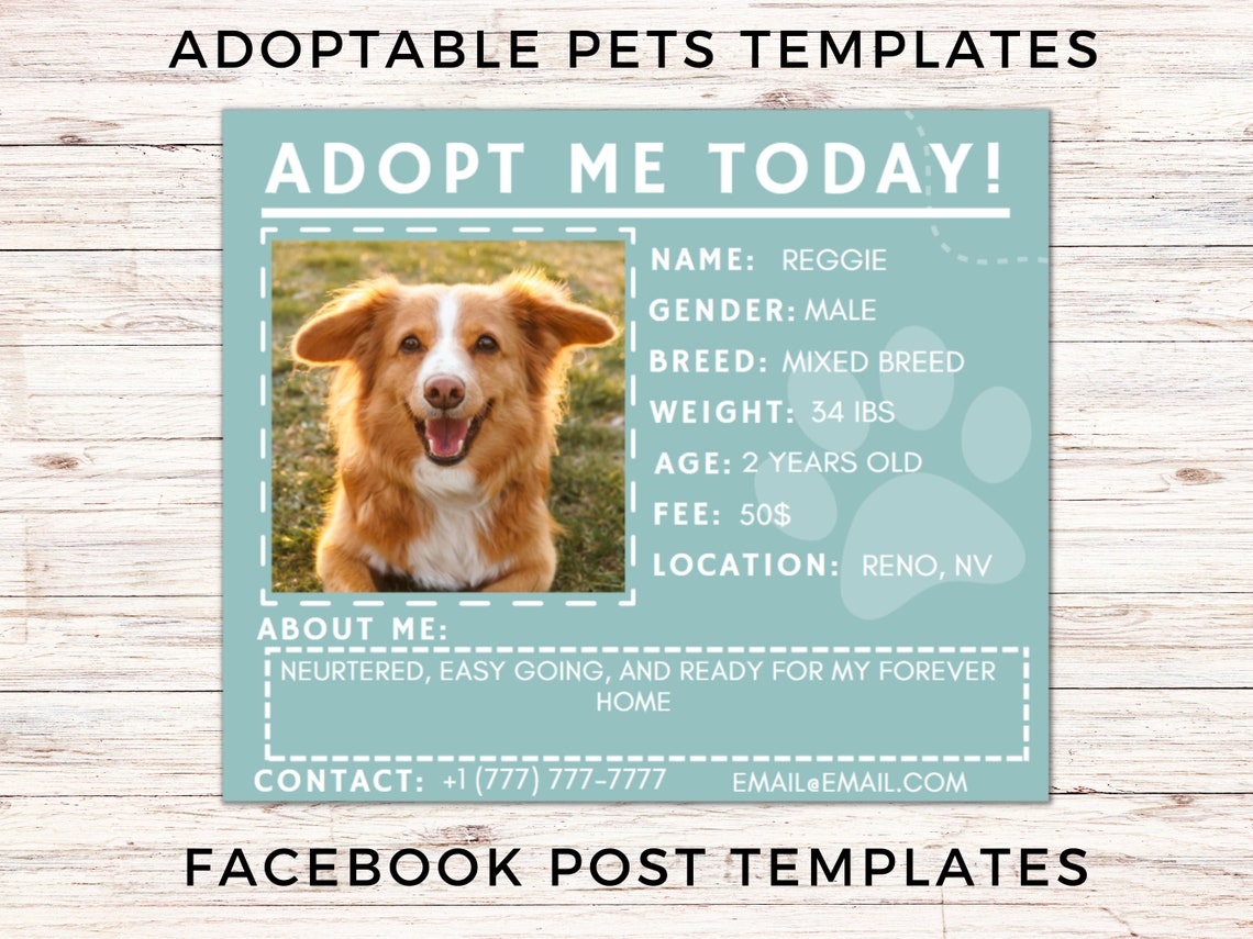 Shelter Dog Facebook Post Templates, Adoption Announcement, Adoptable ...