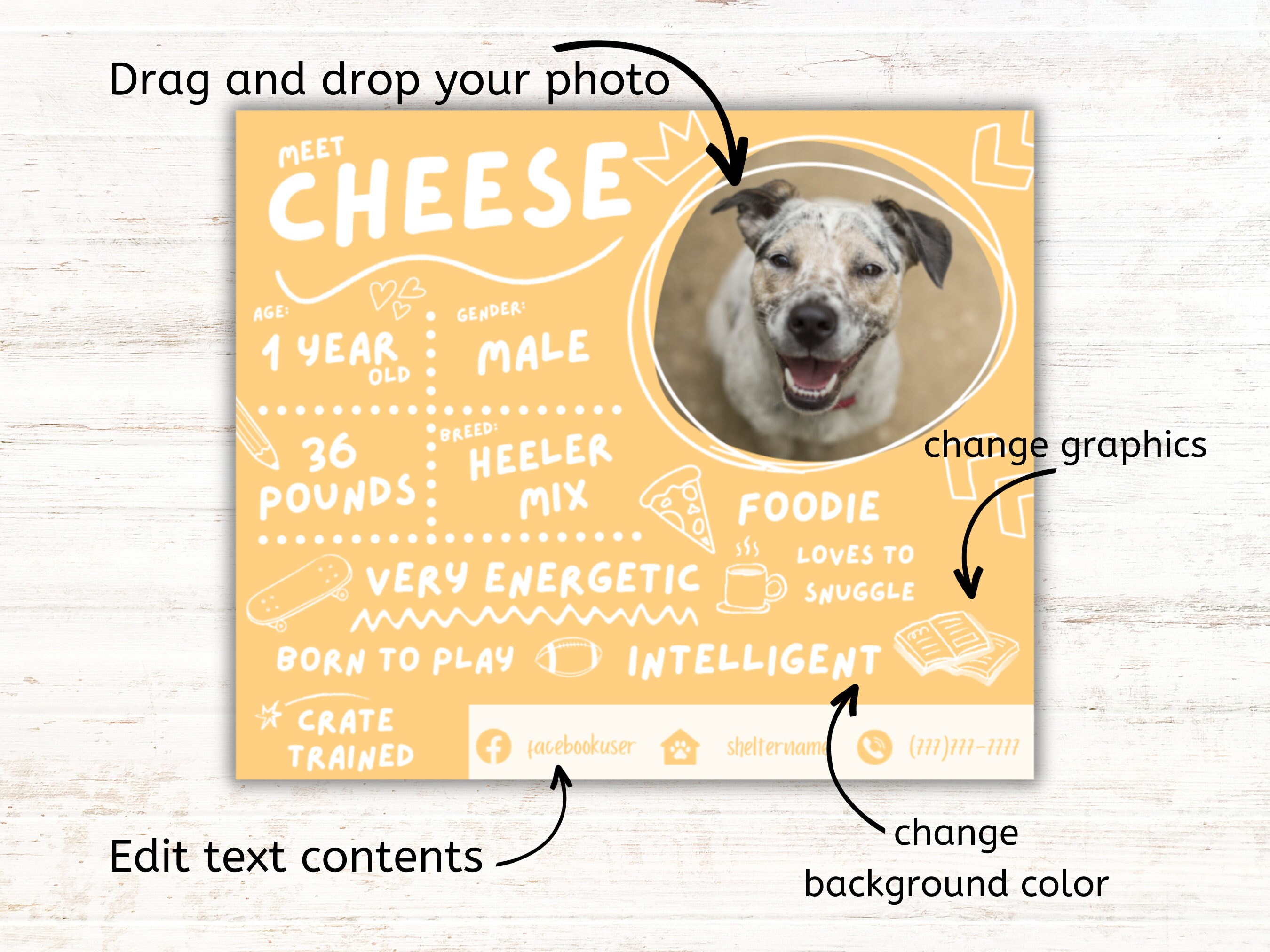 Shelter Dog Adoption Templates, Rescue Dog Social Media Templates - Etsy