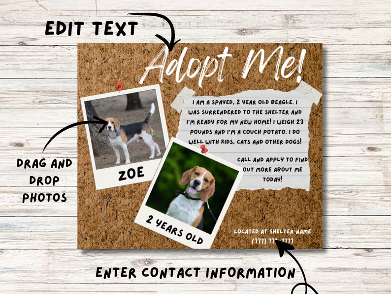Dog Adoption Templates, Dog Promotion, Rescue Dog Templates - Etsy