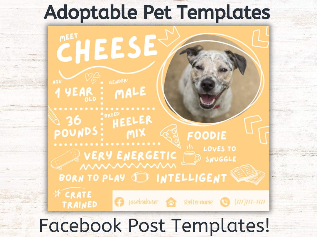 Shelter Dog Adoption Templates, Rescue Dog Social Media Templates - Etsy