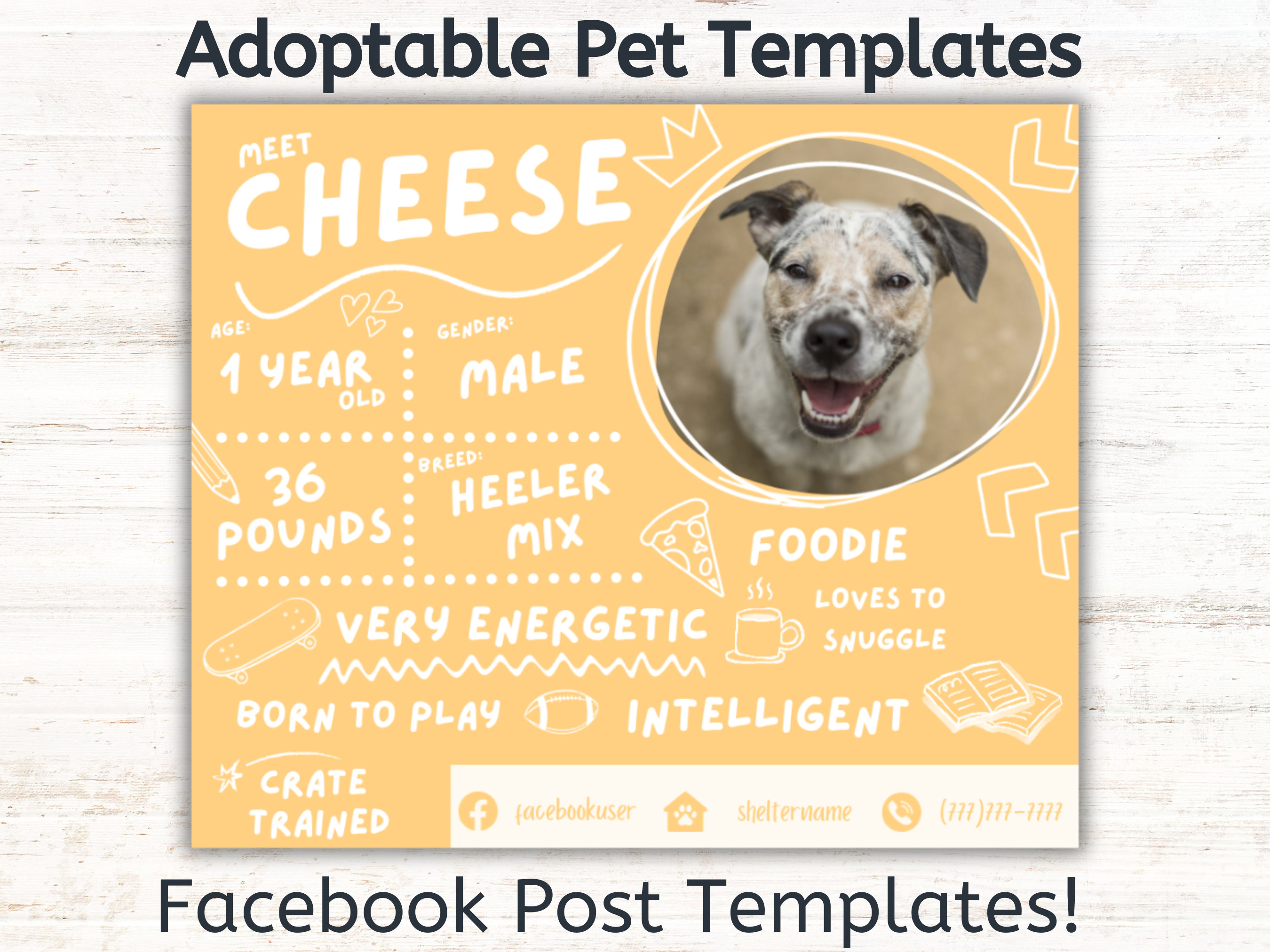 Shelter Dog Adoption Templates, Rescue Dog Social Media Templates - Etsy