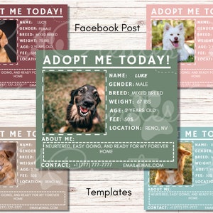 Shelter Dog Facebook Post Templates, Adoption Announcement, Adoptable ...