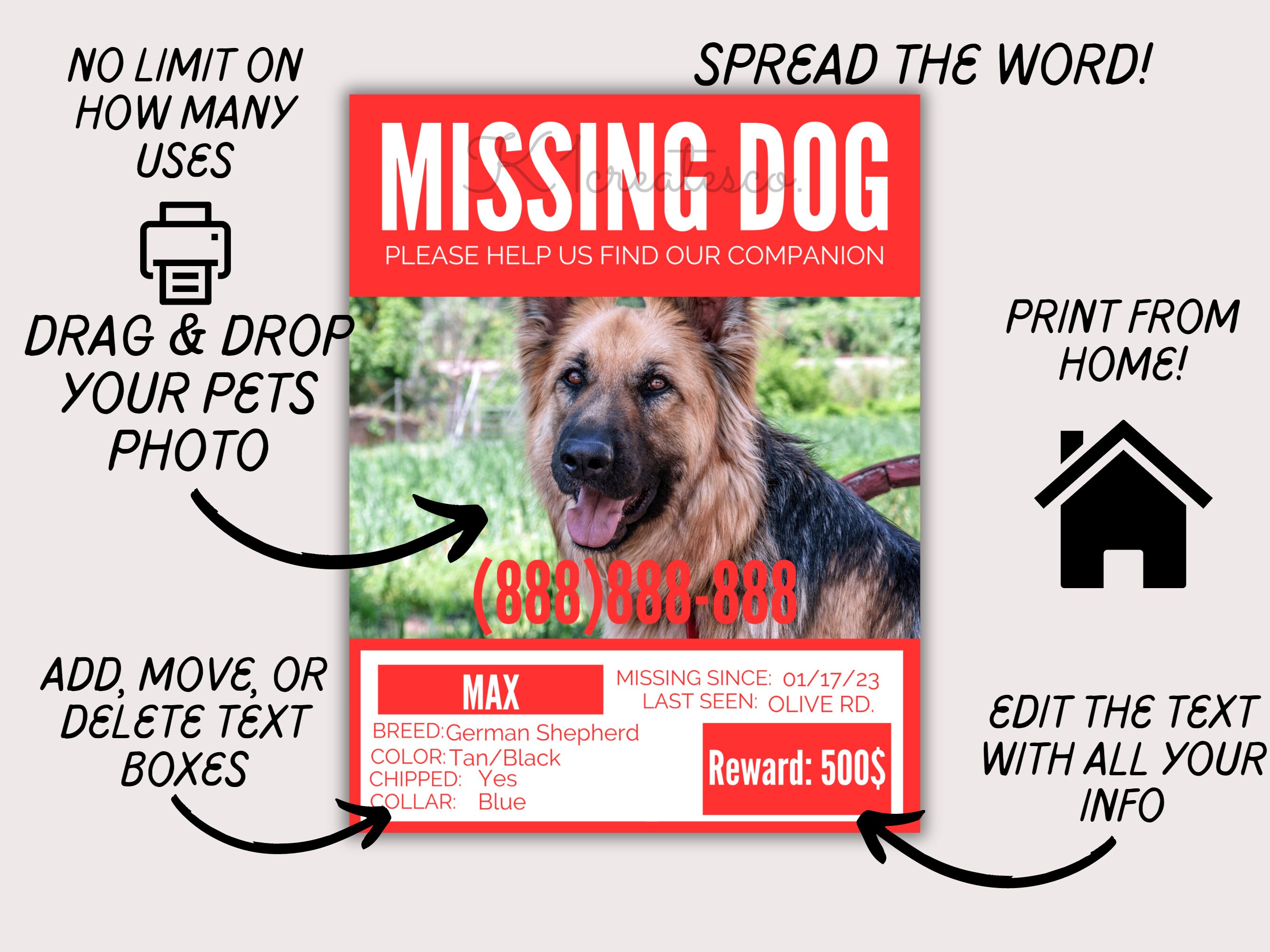 Lost Dog Flyer Bundle, Editable Missing Dog Flyer Bundle Digital ...