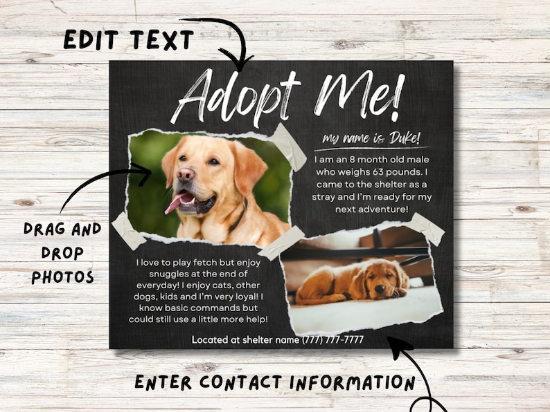 Dog Adoption Templates, Dog Promotion, Rescue Dog Templates - Etsy