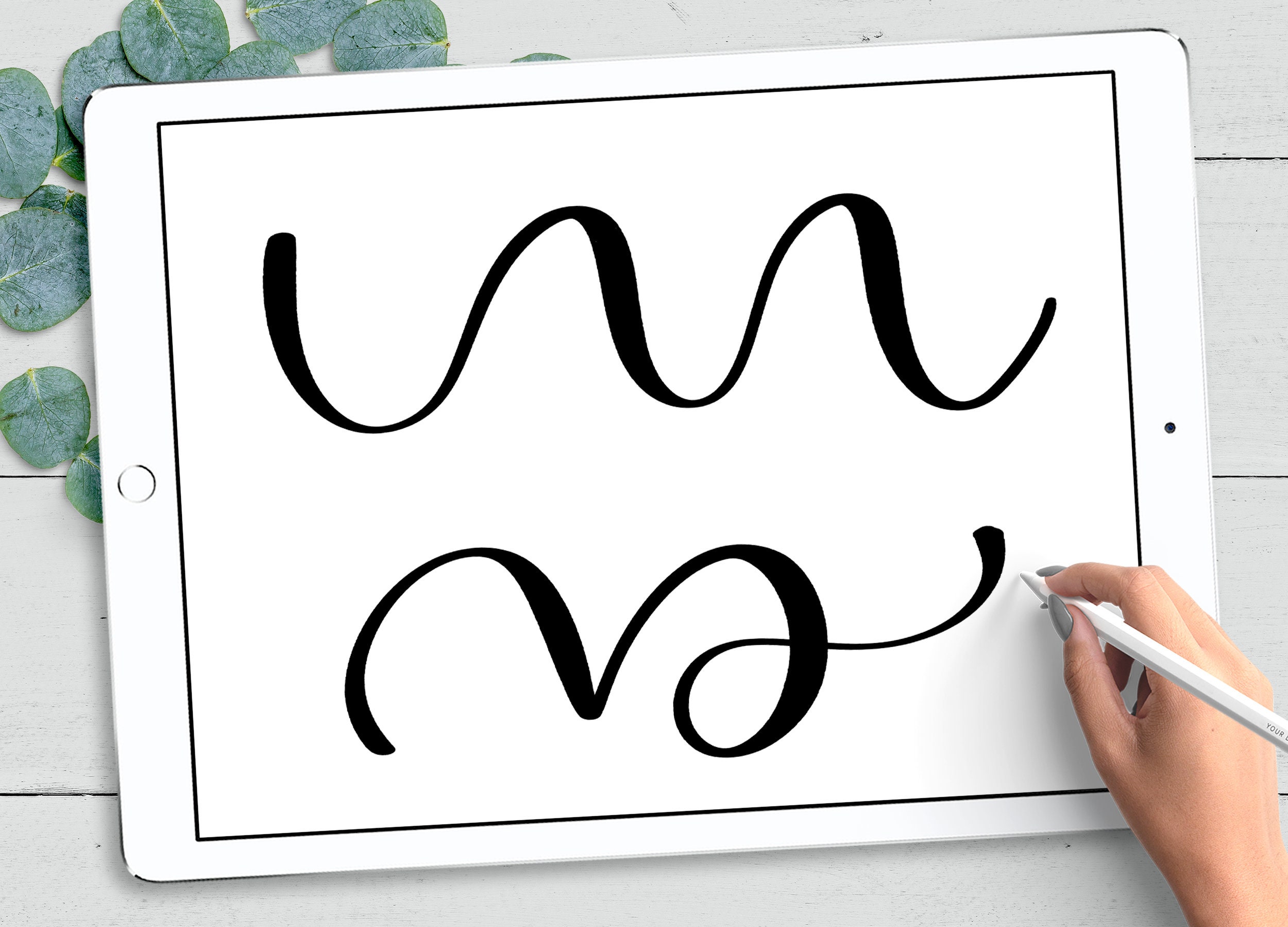 Chunky Procreate Lettering Brush Textured Calligraphy Brush - Etsy