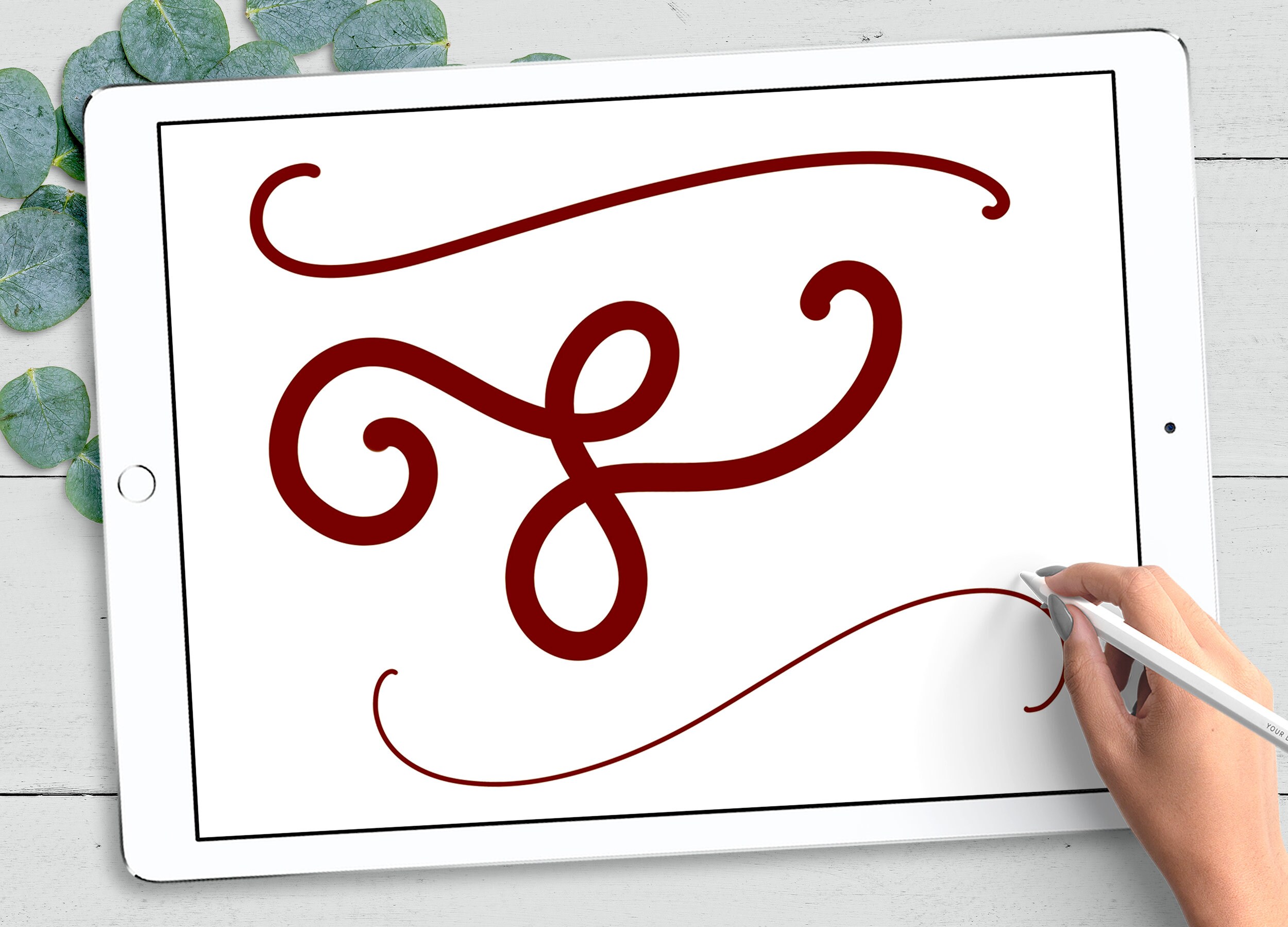 Procreate Monoline Brushes Procreate Outline Brushes - Etsy