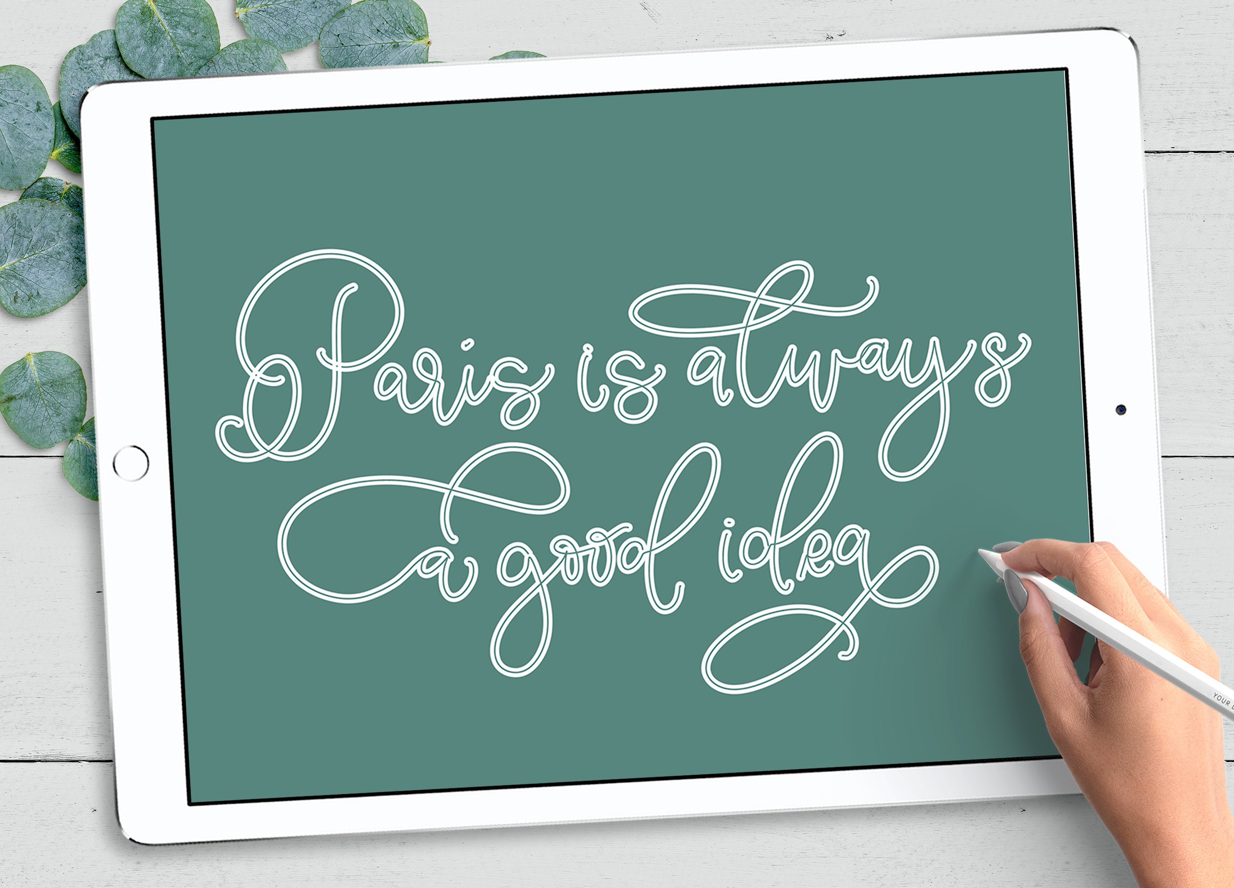 Procreate Monoline Brushes Procreate Outline Brushes - Etsy