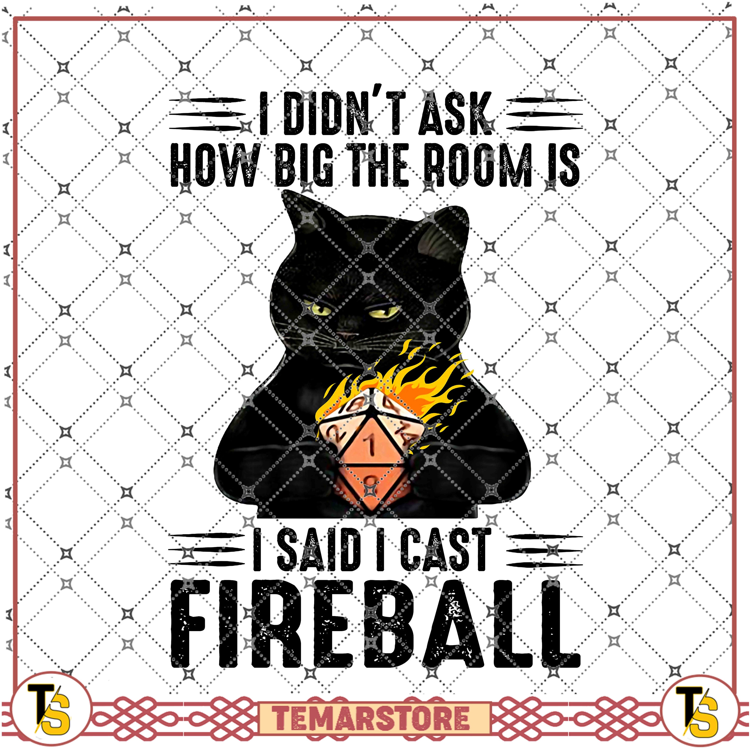 DND Cat Fireball I Didn't Ask How Big the Room is I Said I Cast ...