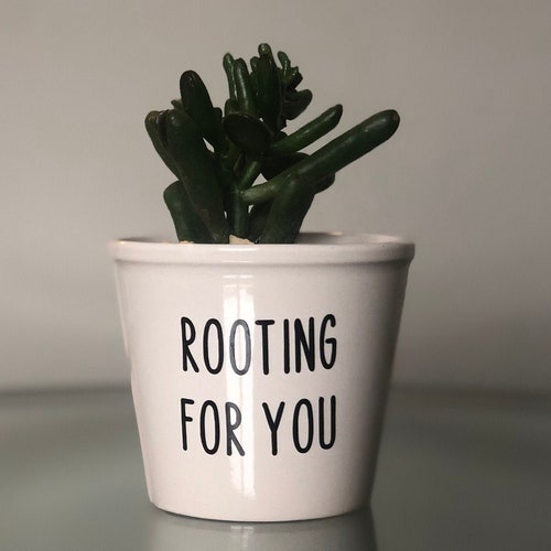 Rooting for You Planter | Etsy