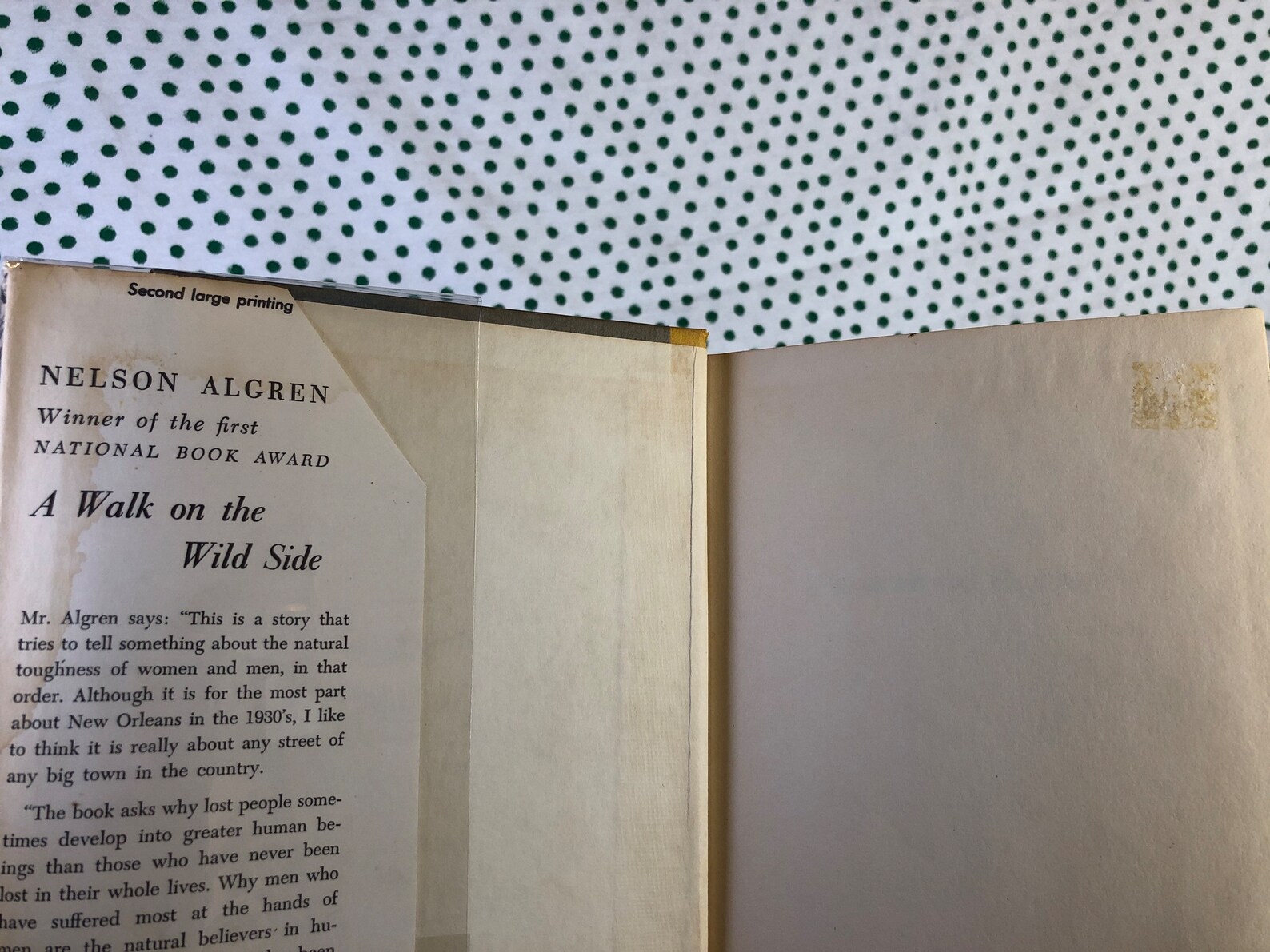 A Walk on the Wild Side by Nelson Algren -hardcover 1956 - Etsy