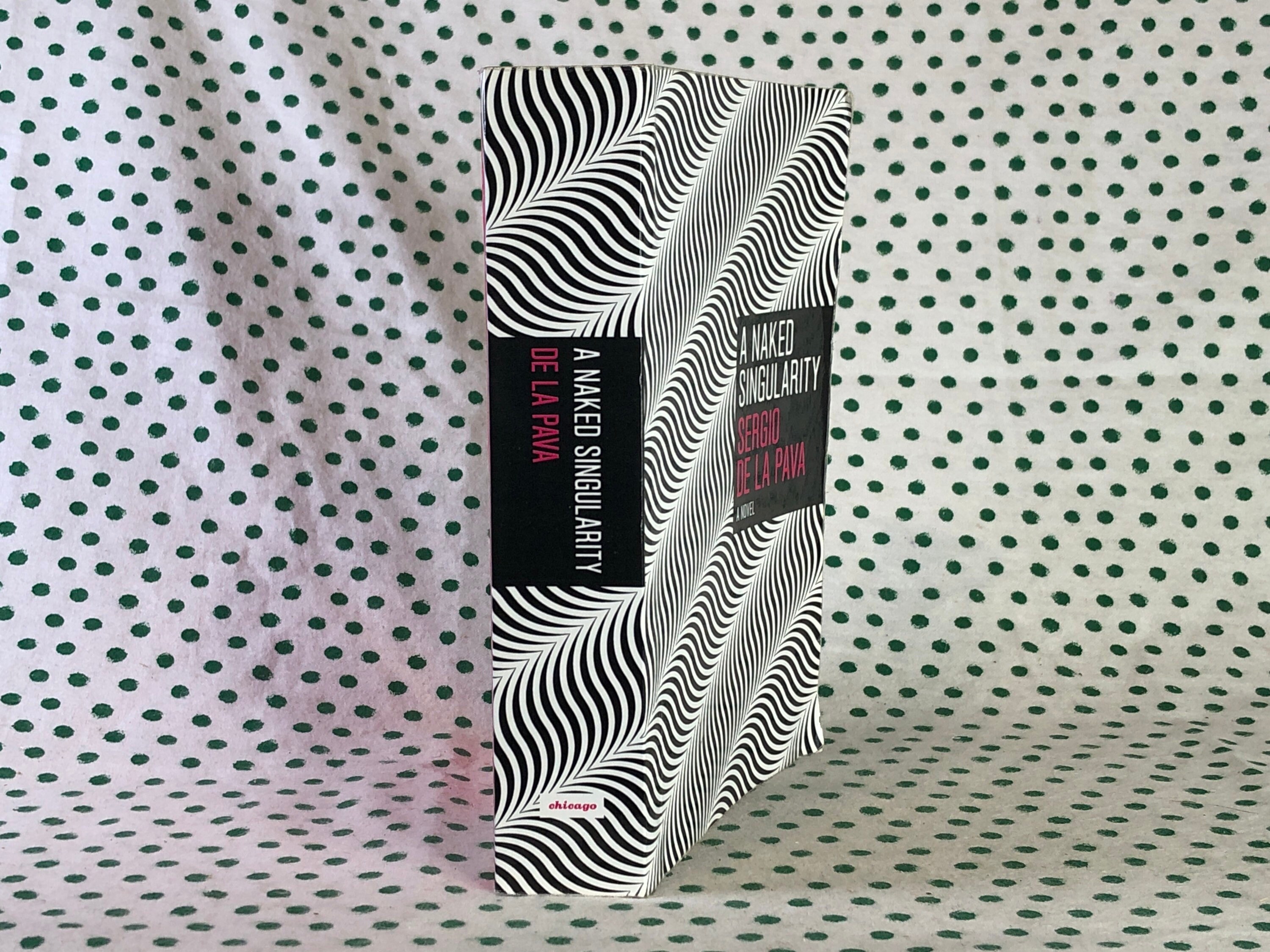 A Naked Singularity by Sergio De La Pava Softcover - Etsy