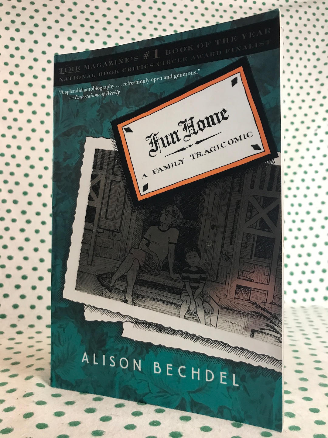 Fun Home una familia tragicómica de Alison Bechdel tapa blanda - Etsy ...