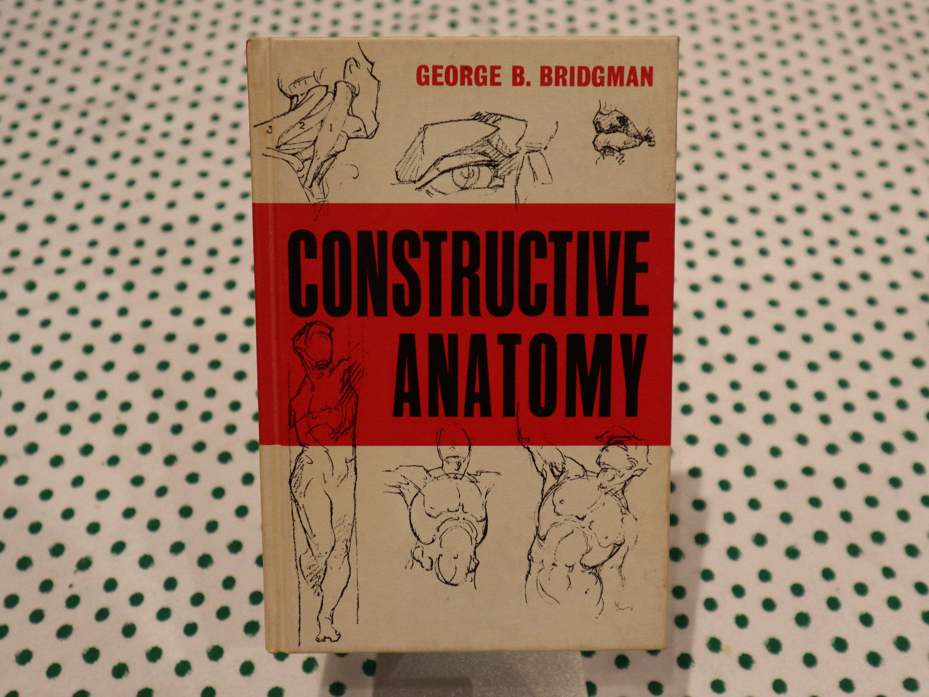Construction Anatomy by George Bridgman Vintage Hardcover Book - Etsy