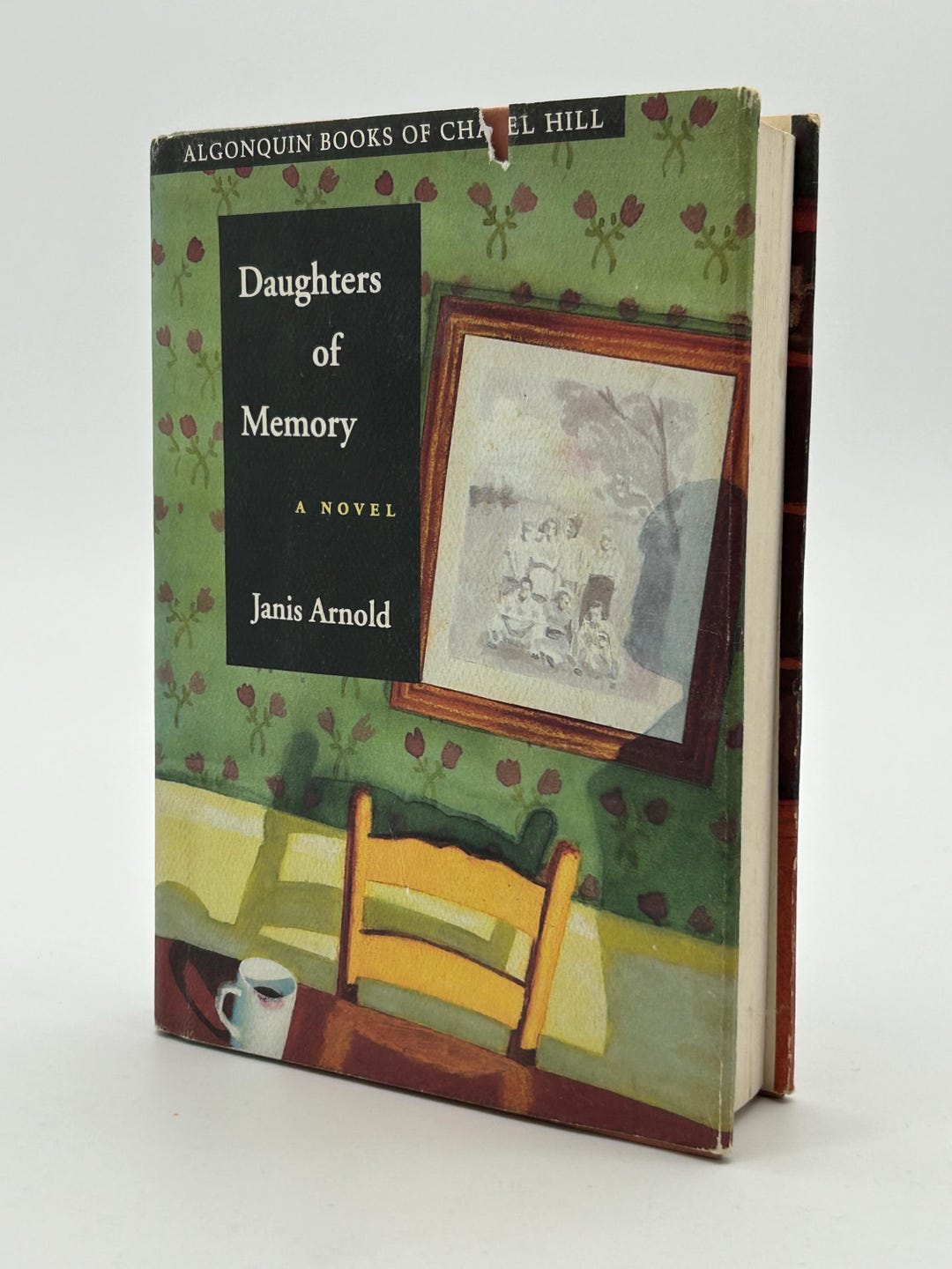 Daughters of Memory by Janis Arnold Vintage Hardcover Book 1991 - Etsy