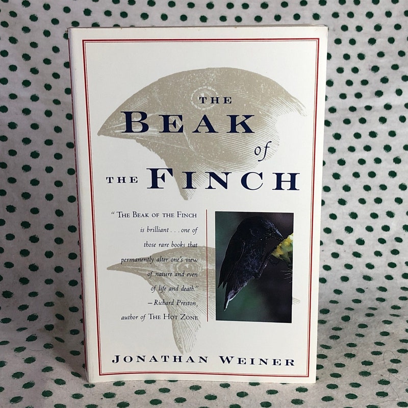 Finch and Books - Etsy UK