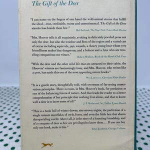 A Place in the Woods by Helen Hoover Hardcover - Etsy