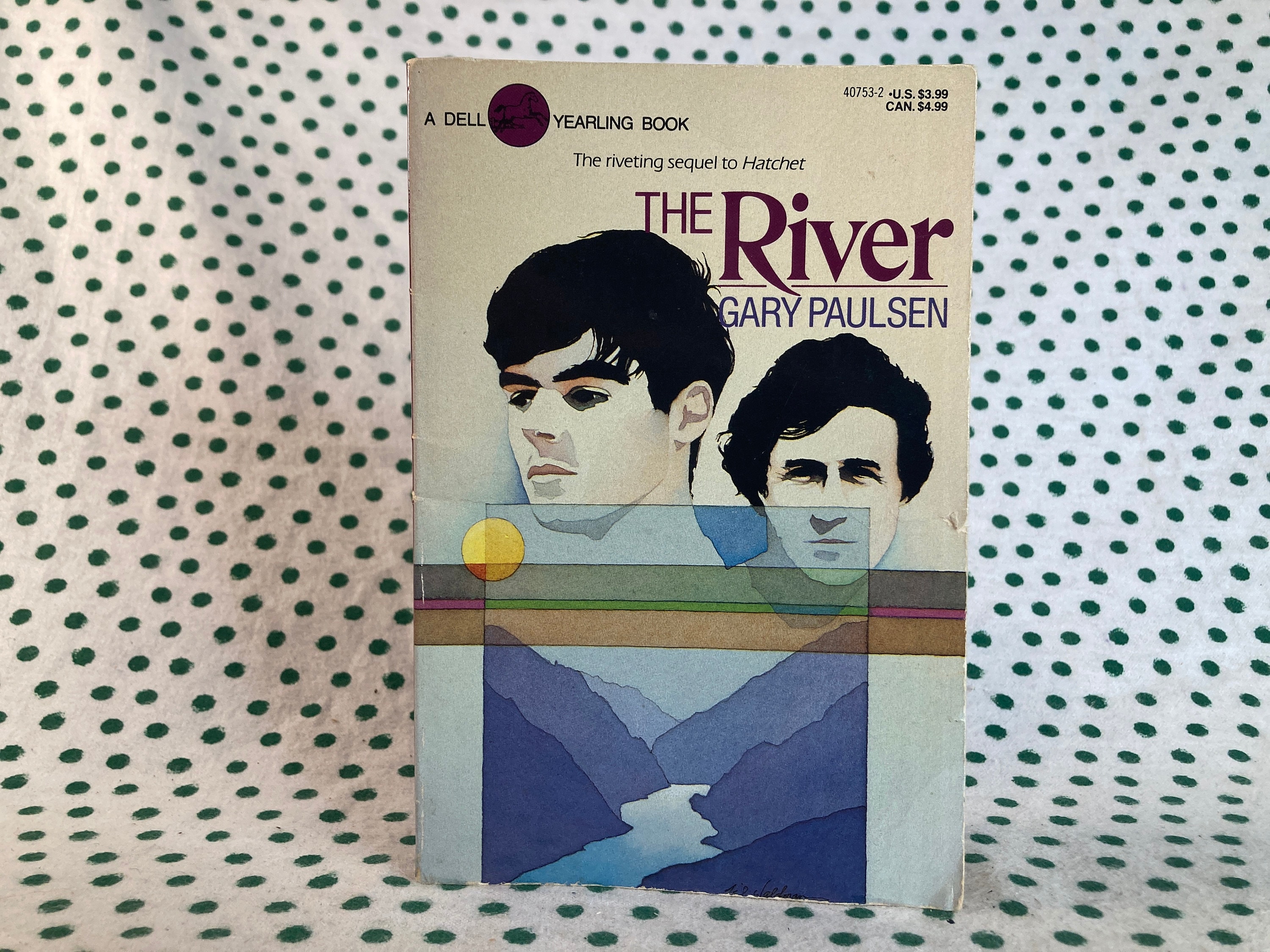 Gary Paulsen The River Brian