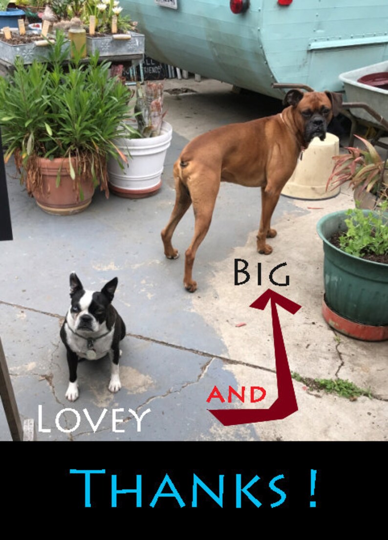 Dell Paper Doll W BUTTERICK (1921) Most Fashionable Dress Patterns ...