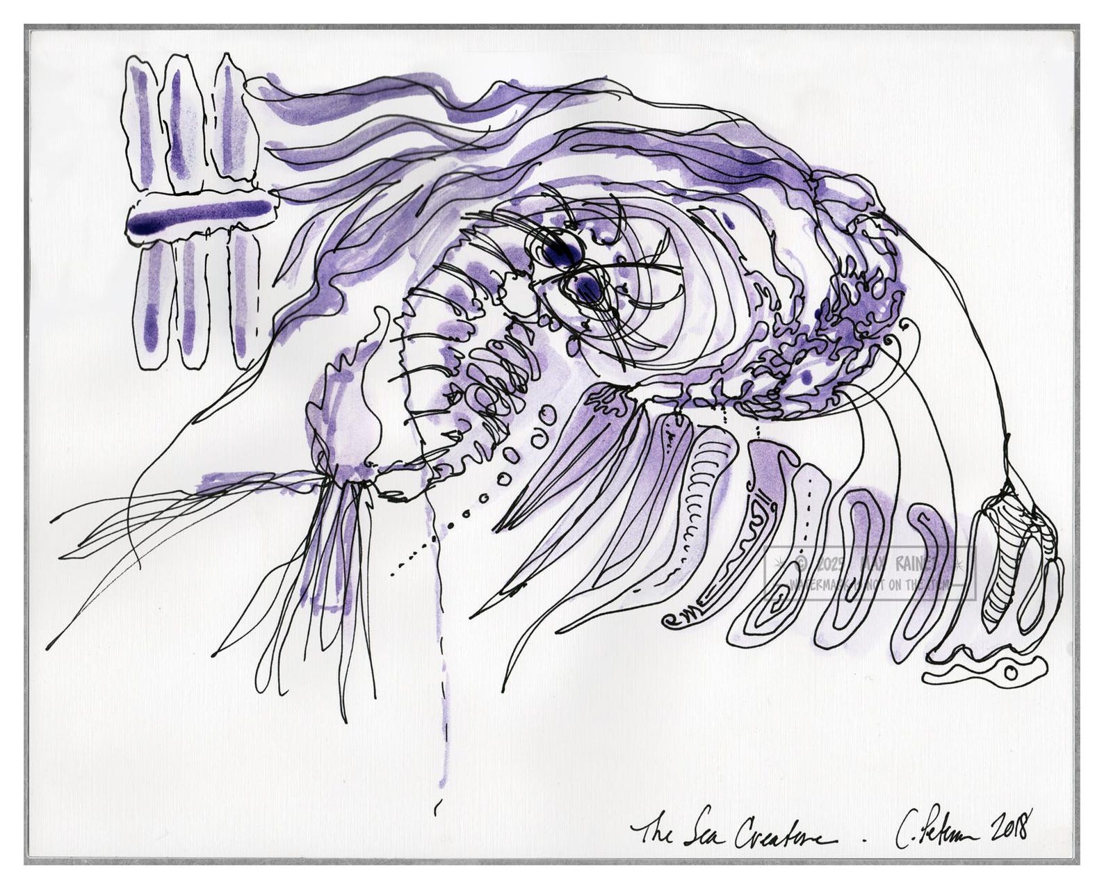 The Sea Creatures, Lobster Squid Play (2018) Cathy Peterson, From Orig ...