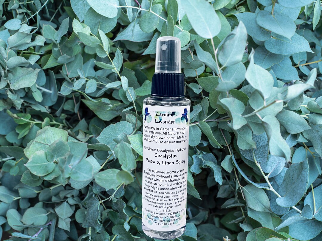 Eucalyptus Shower Spray, Natural Hydrosol Room Spray - Grown, Distilled ...
