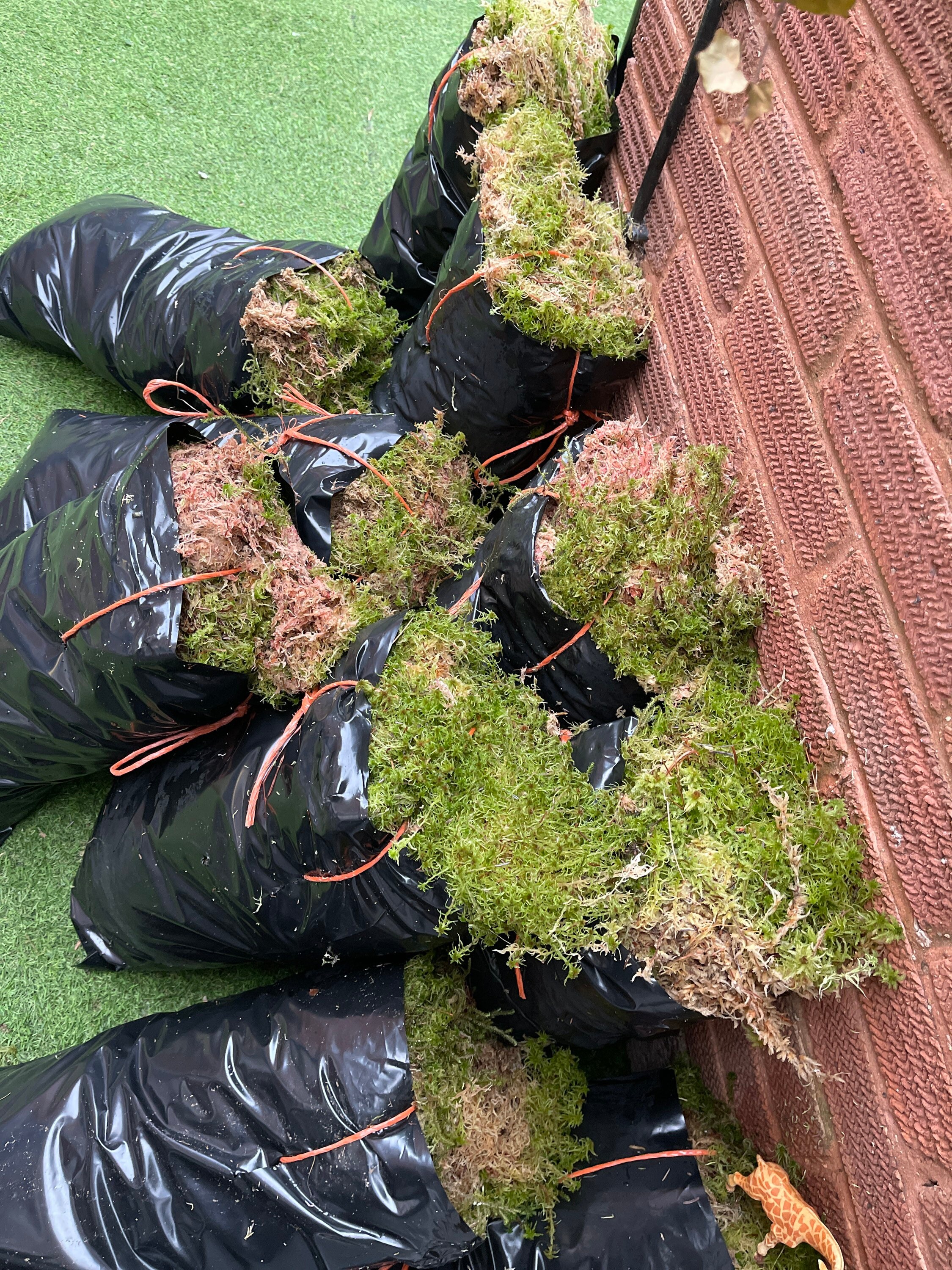 Fresh Welsh Sphagnum Moss 10kilos 50-80 Litres - Etsy UK