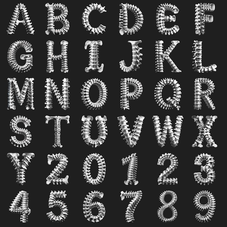3D Realistic Skeleton Alphabet Clipart Bone Letters & Numbers Gothic ...