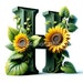 Sunflower PNG Clipart, Sunflower Alphabet, Doodle Letters, Doodle Font ...
