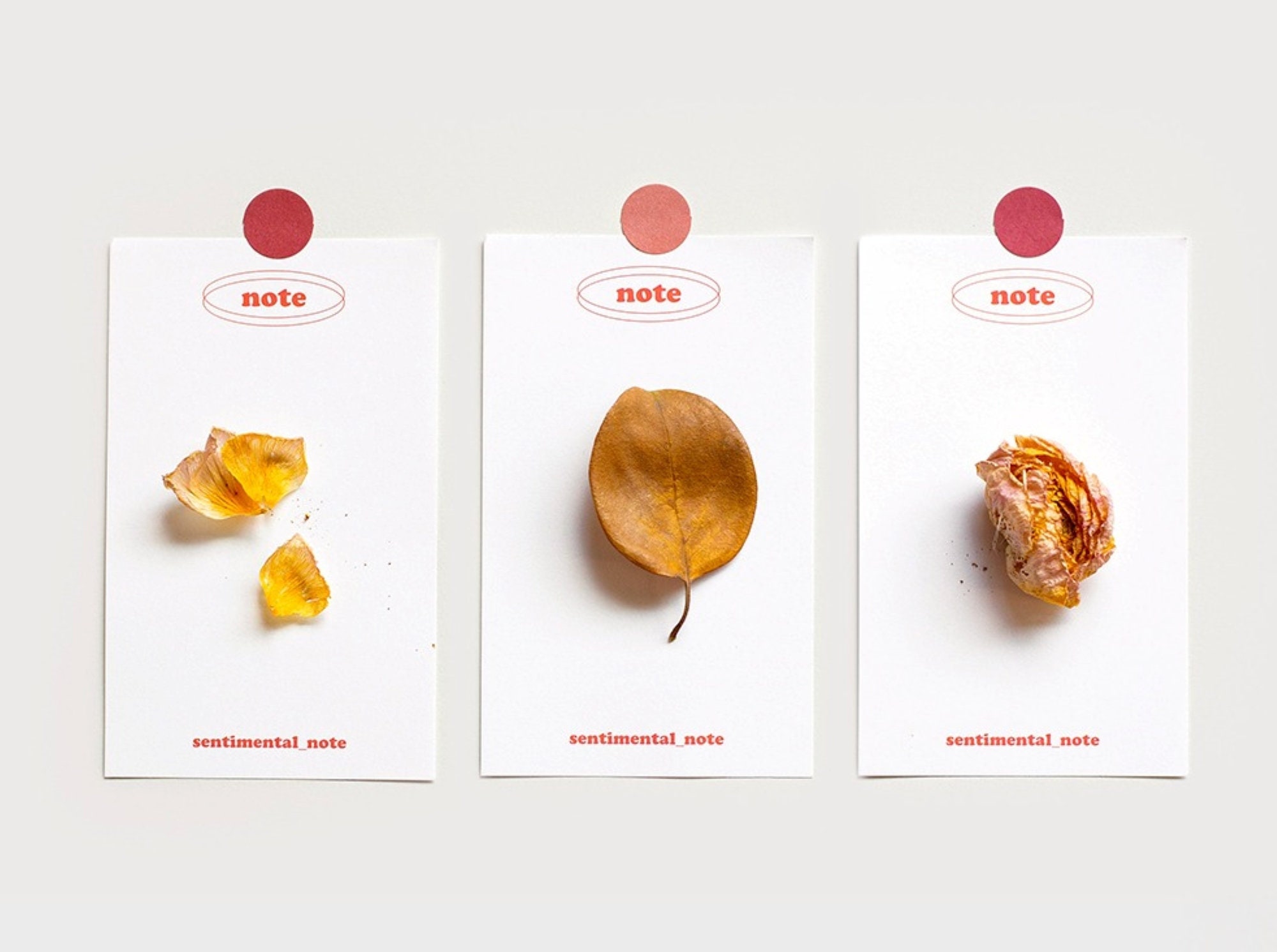 Simple and Unique Note Pads Daily Planner Check List With - Etsy