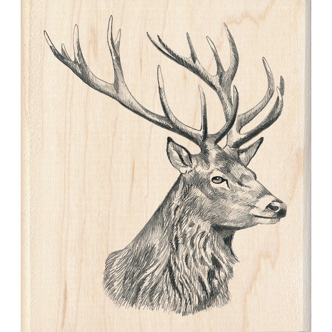 Stag Head Rubber STAMP Wood Mounted NEW 4 by Inkadinkado - Etsy