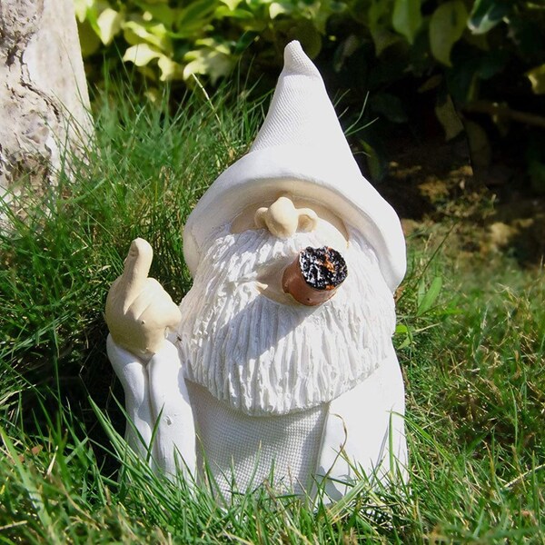 Naughty Garden Gnomes - Etsy