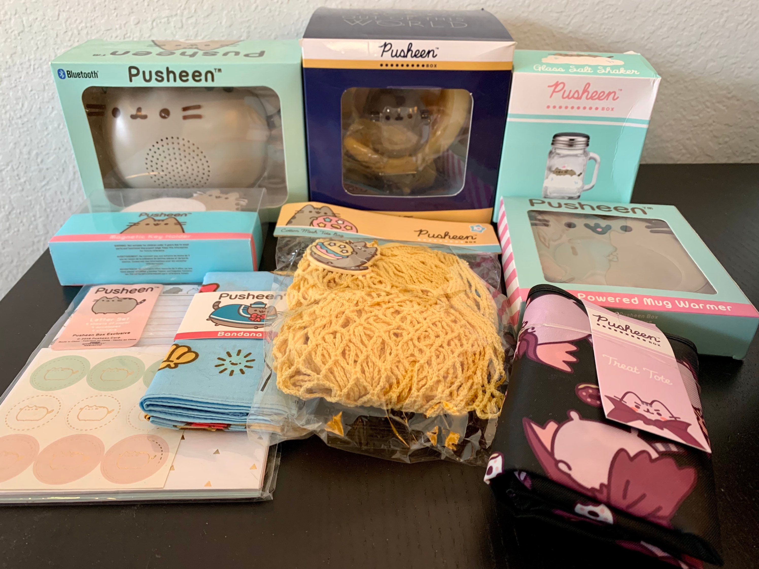 Pusheen Noodles