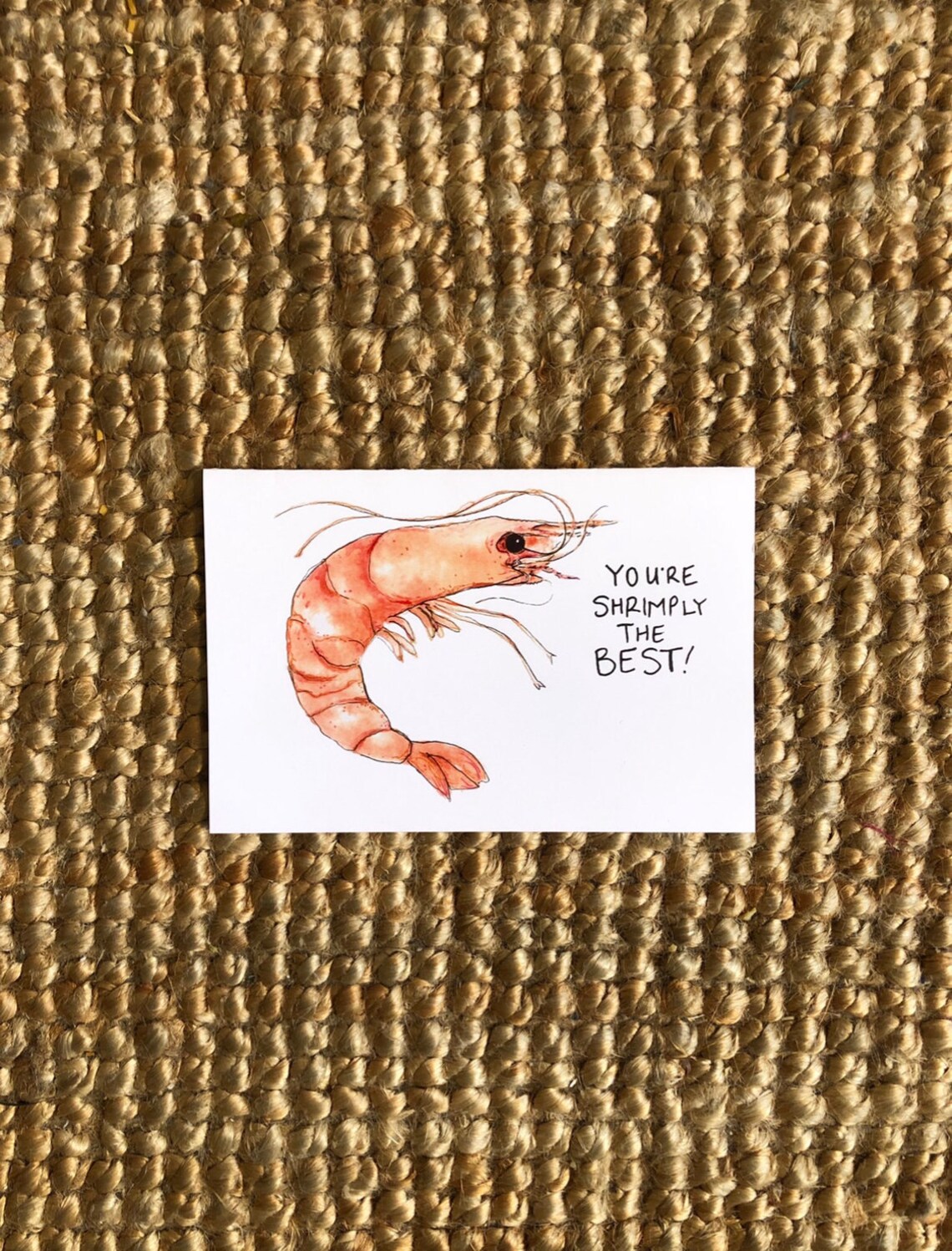 Greeting Card you're Shrimply the Best - Etsy