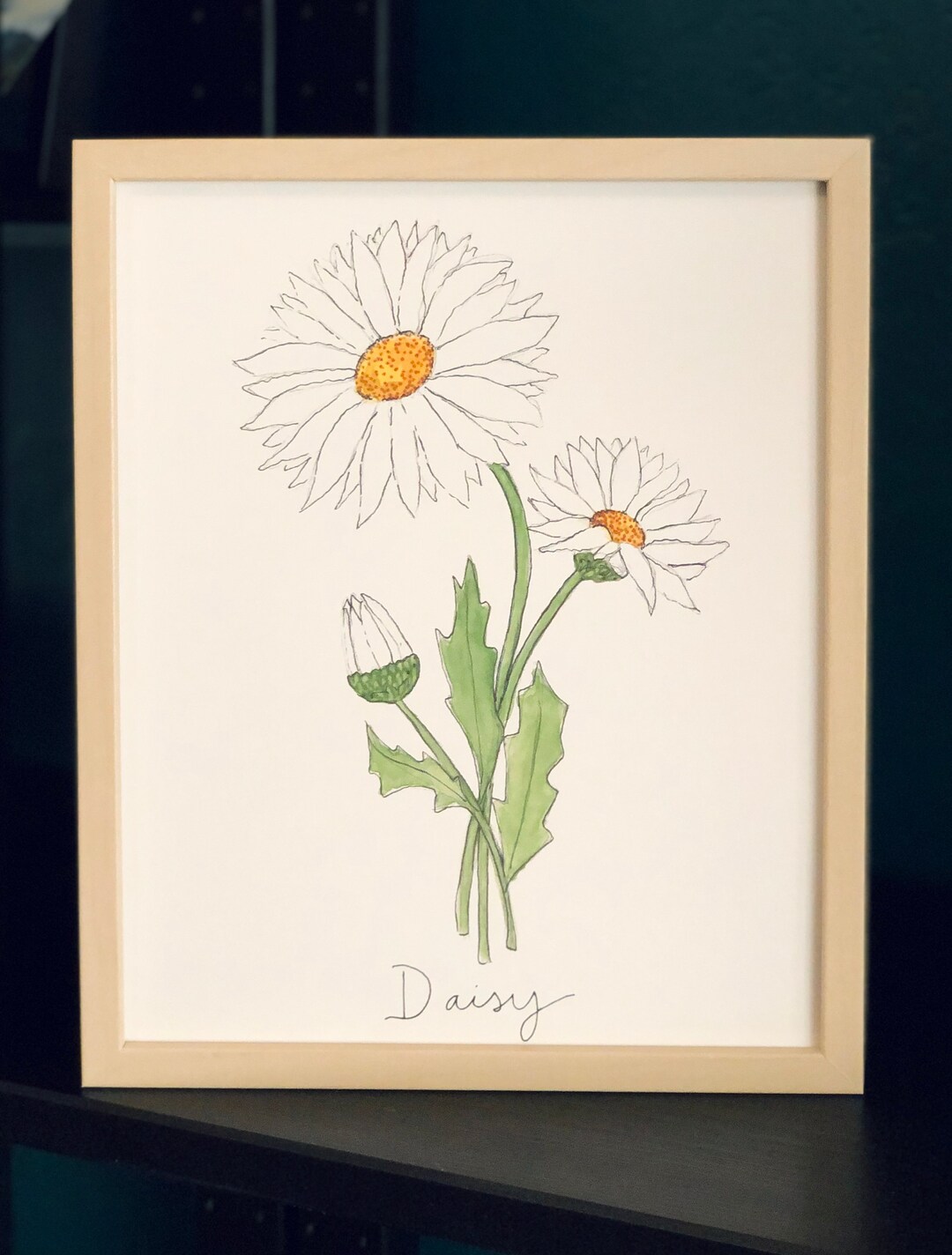 Daisy Botanical Illustration Print - Etsy