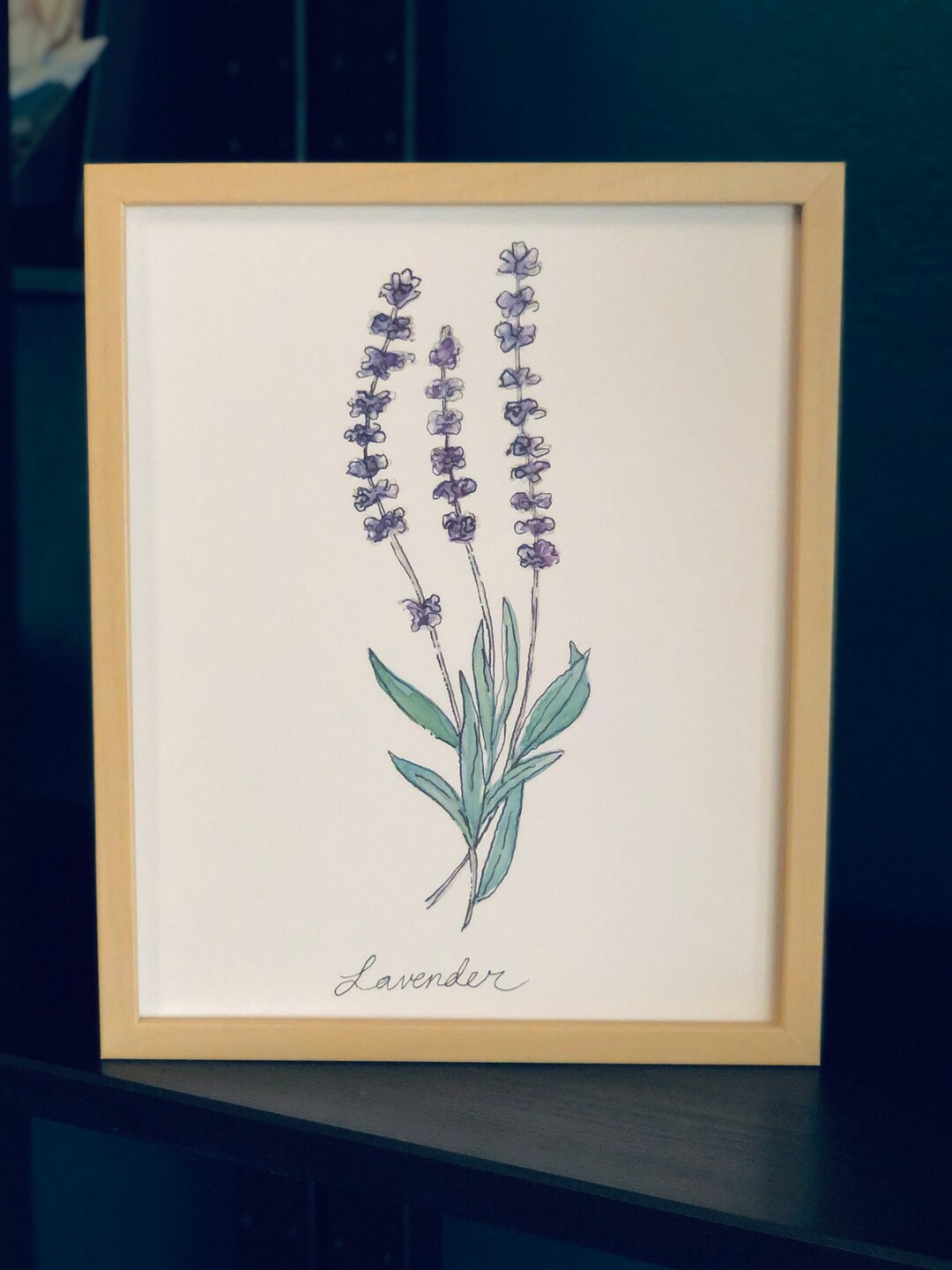 Lavender Botanical Illustration Print - Etsy