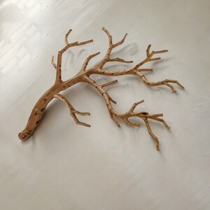 Coat Rack Tree Branch Standing Clothing Rack Wall Mount Driftwood Coat ...