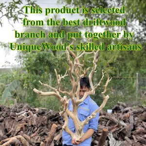 Coat Rack Tree Branch Standing Clothing Rack Wall Mount Driftwood Coat ...