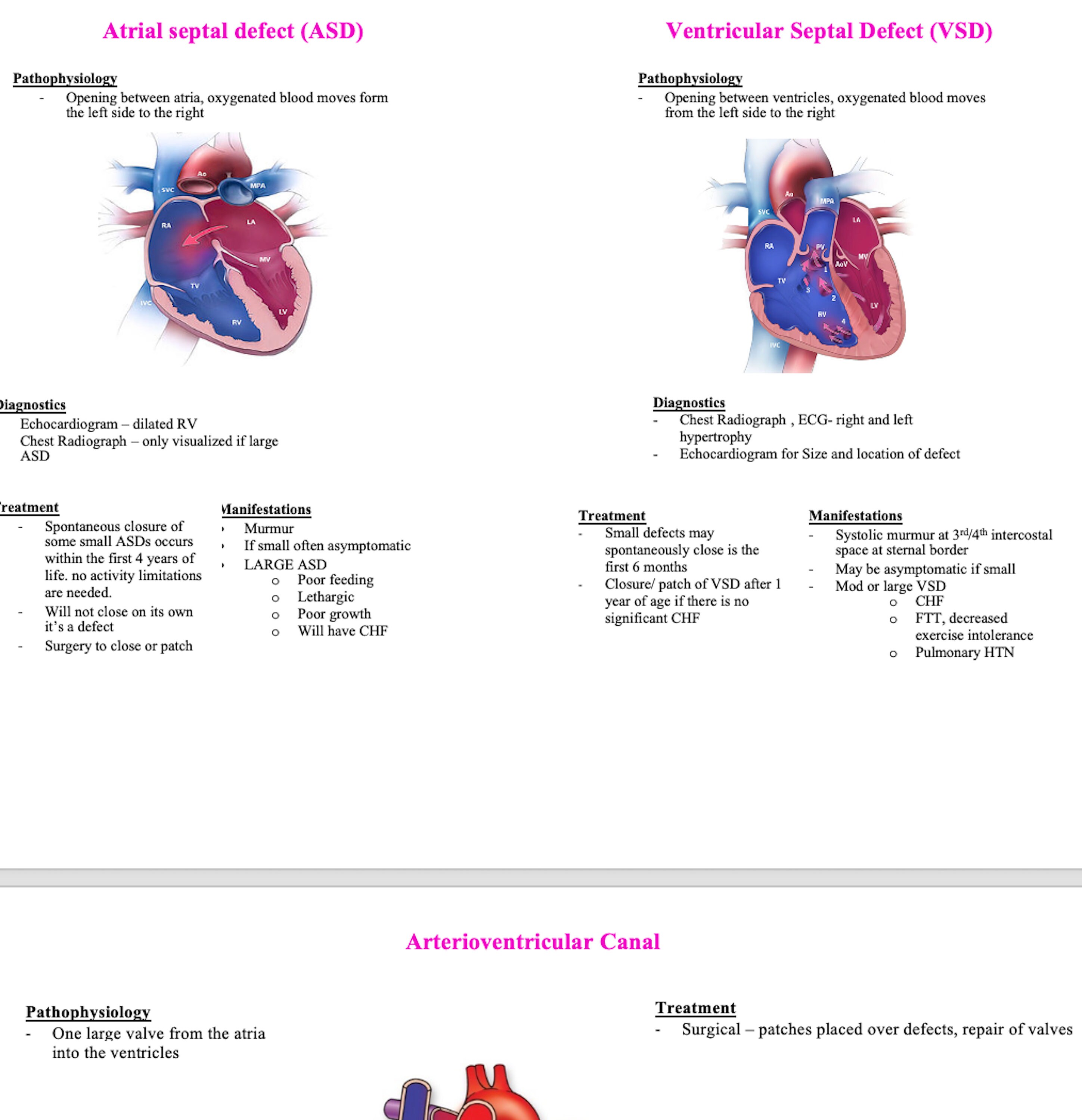 Nursing Pediatric Cardiovascular Notes - Etsy