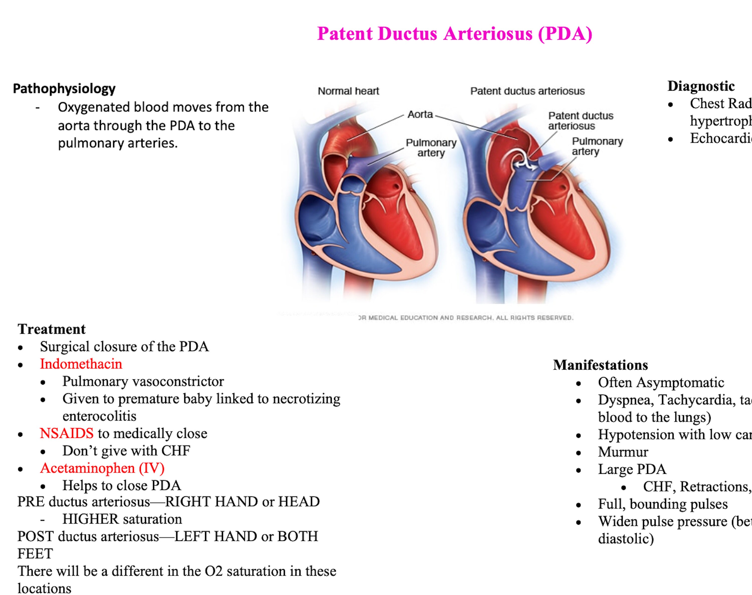 Nursing Pediatric Cardiovascular Notes - Etsy
