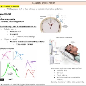 Neurovascular Conditions (nursing School Notes) - Etsy