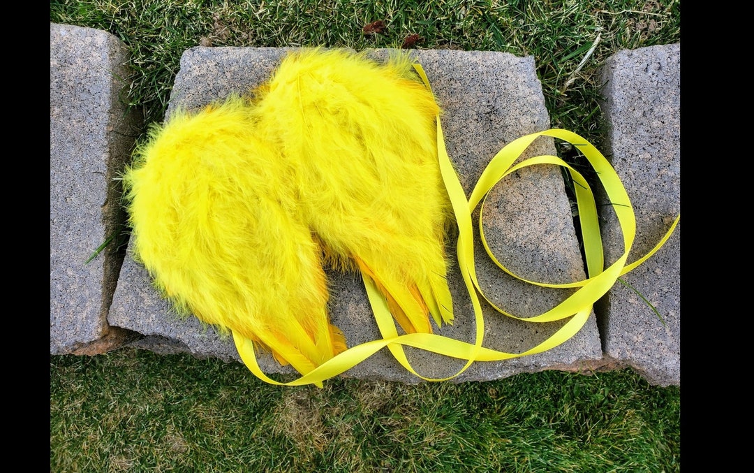 Baby Chick Wings - Baby Duck Wings - Angel Wings - Etsy