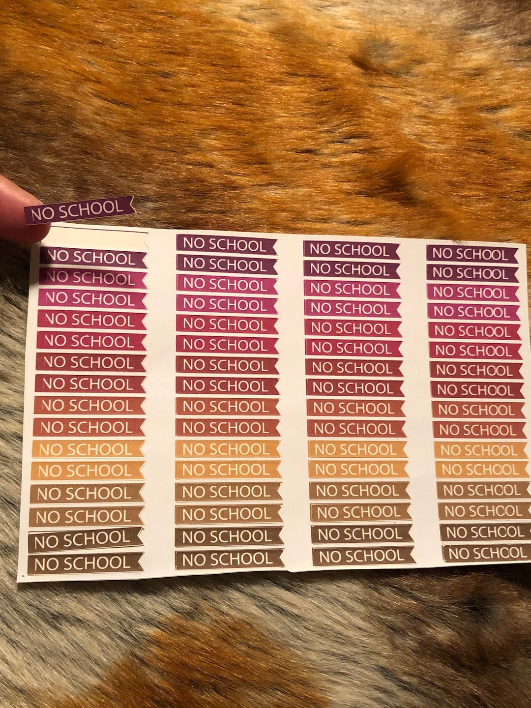 NO SCHOOL Stickers- School Planner Stickers. 64 Stickers - Etsy