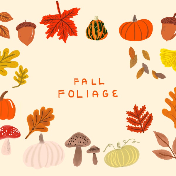 Acorn Clipart - Etsy