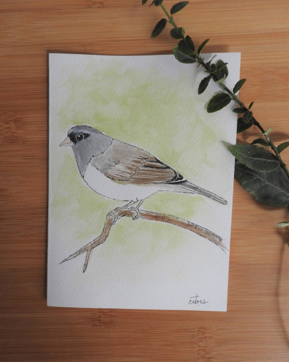 Hand Painted Note Card Original Watercolor Junco Card - Etsy