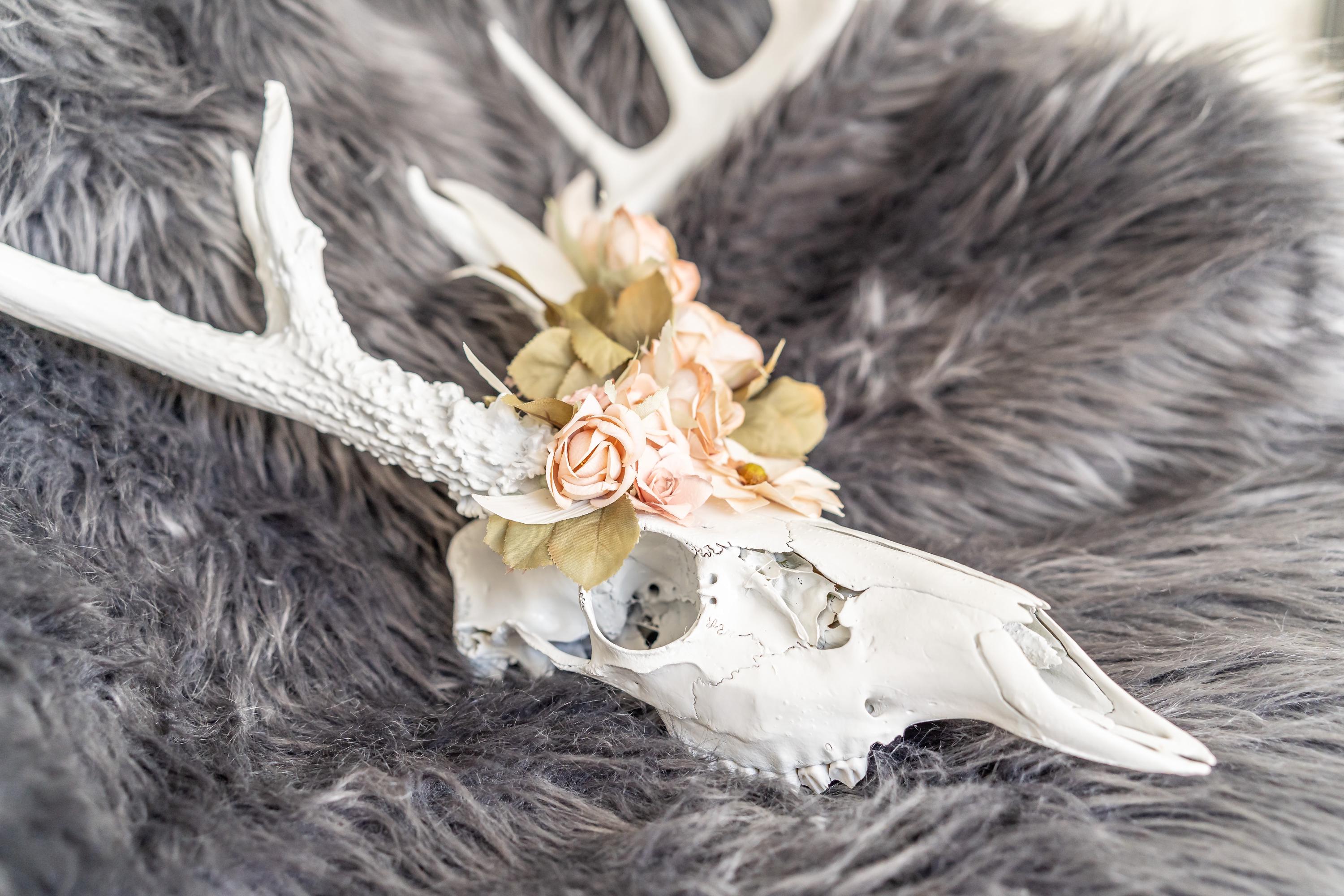 Betty: Decorated Real Whitetail Buck Skull and Antlers - Etsy