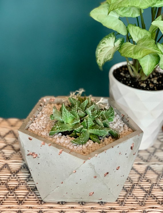 Large Geometric Concrete Planter | Etsy