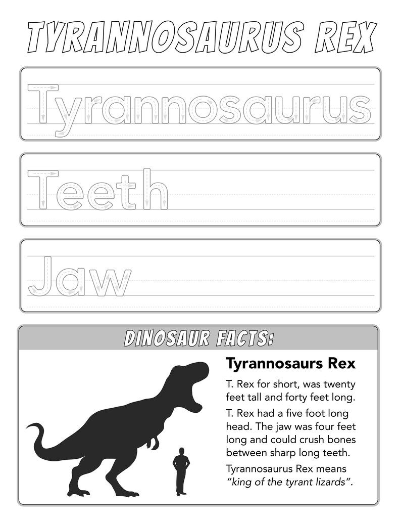 Dinosaur Discovery and Fun Activity Book: 82 Pages of Coloring ...