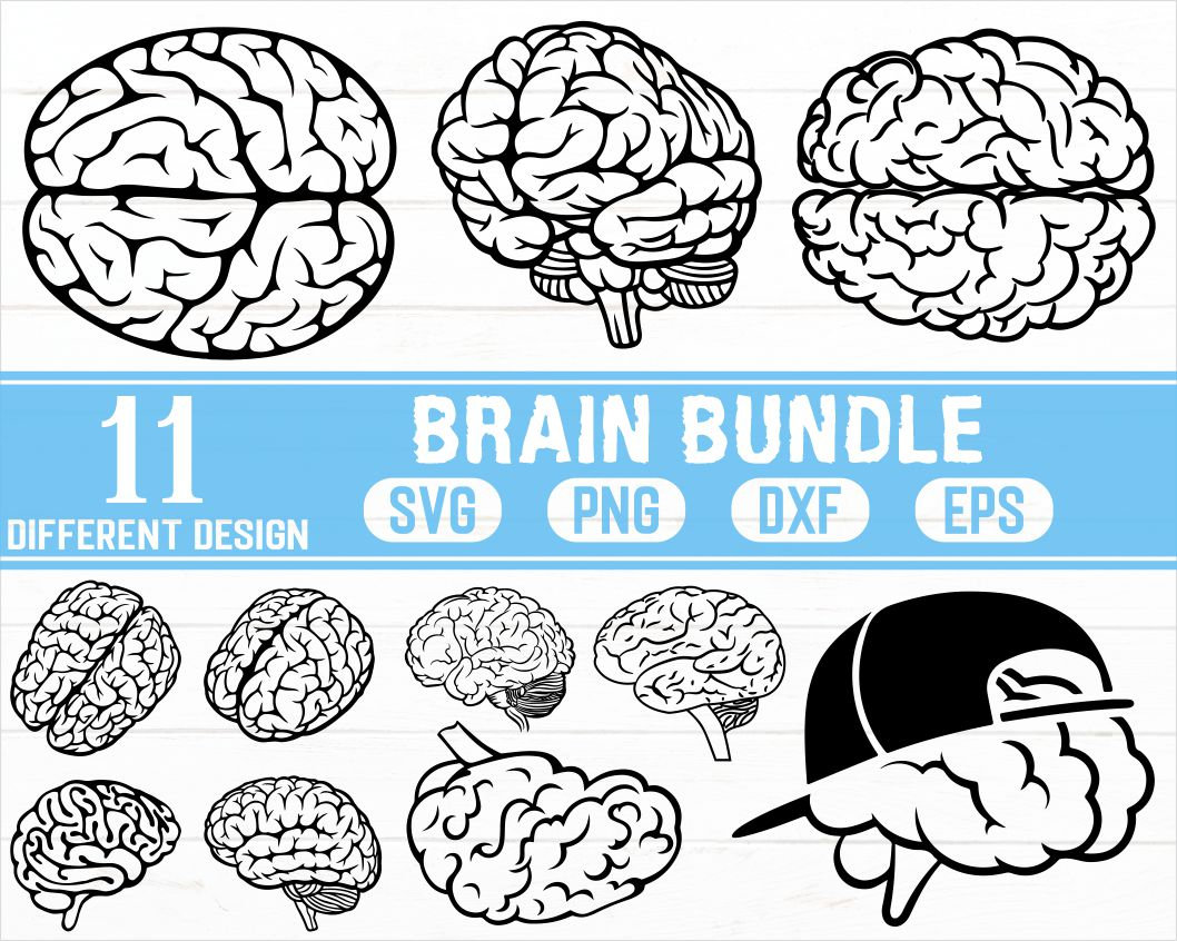 Computer Brain Clipart For Kids